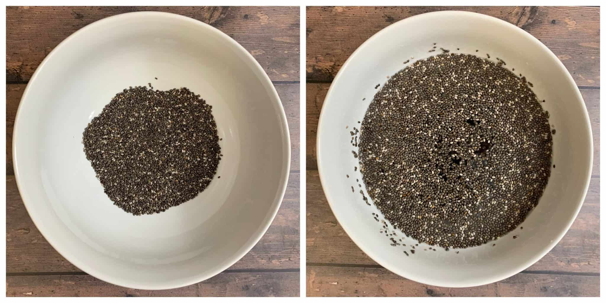 Chia Seeds Curd Rice (Keto Curd Rice) - Indian Veggie Delight