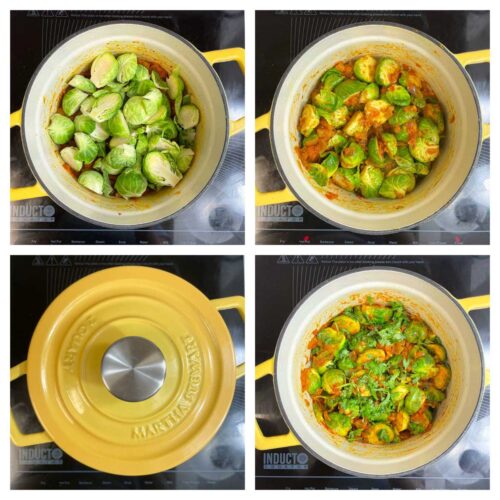 Brussels Sprouts Sabzi - Indian Veggie Delight