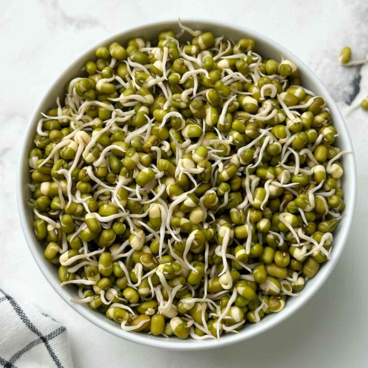 How to Sprout Beans - Indian Veggie Delight