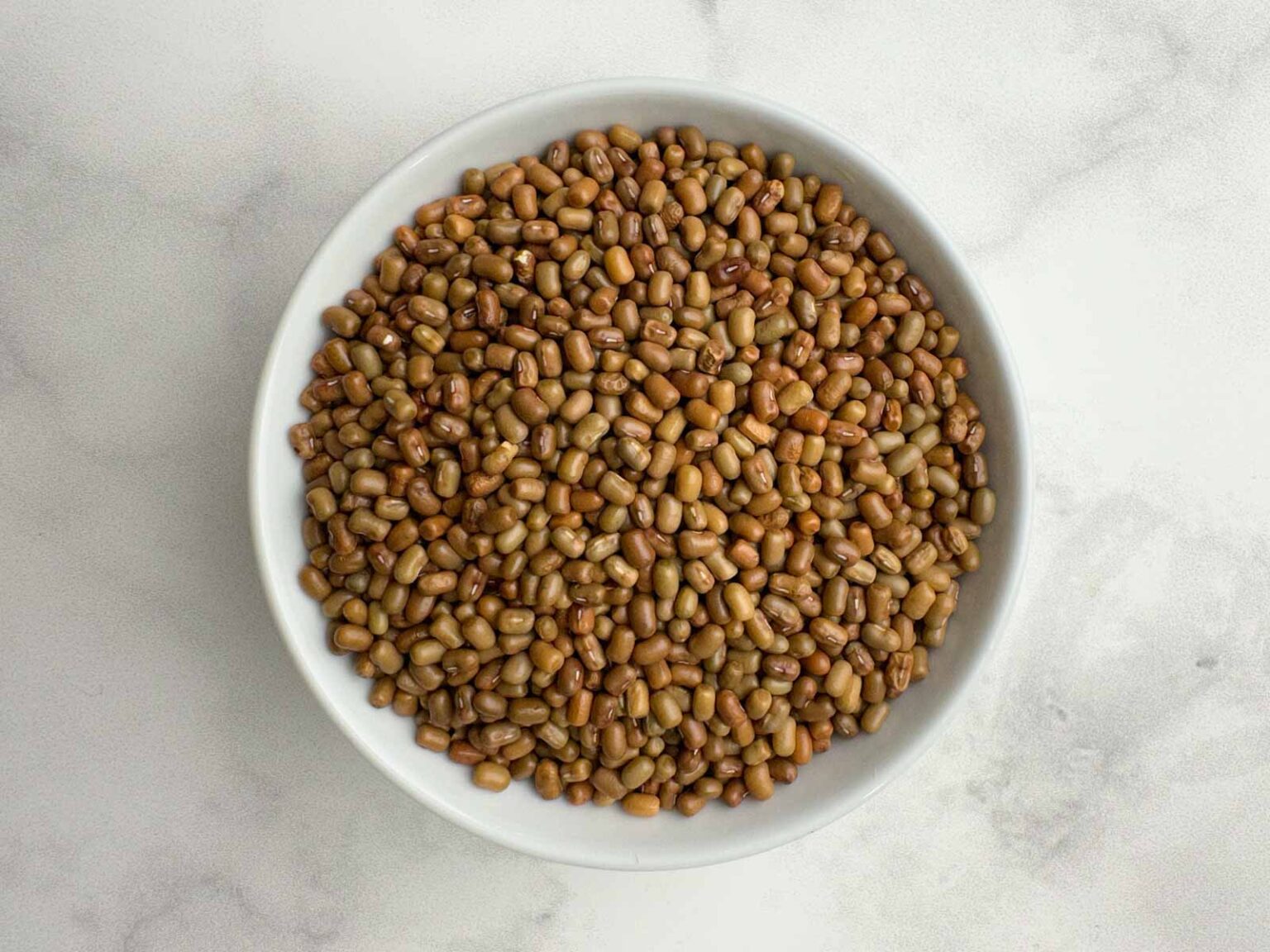 Indian Pulses - A Detailed Guide - Indian Veggie Delight