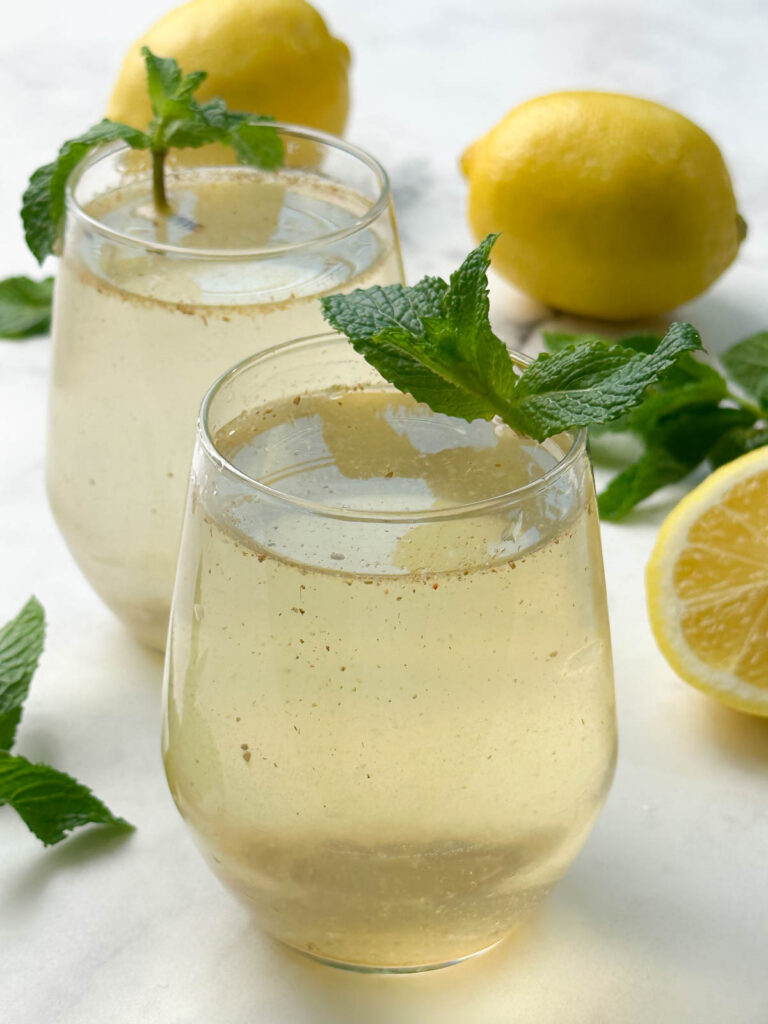 Nimbu Pani | Shikanji (Indian Lemonade) - Indian Veggie Delight