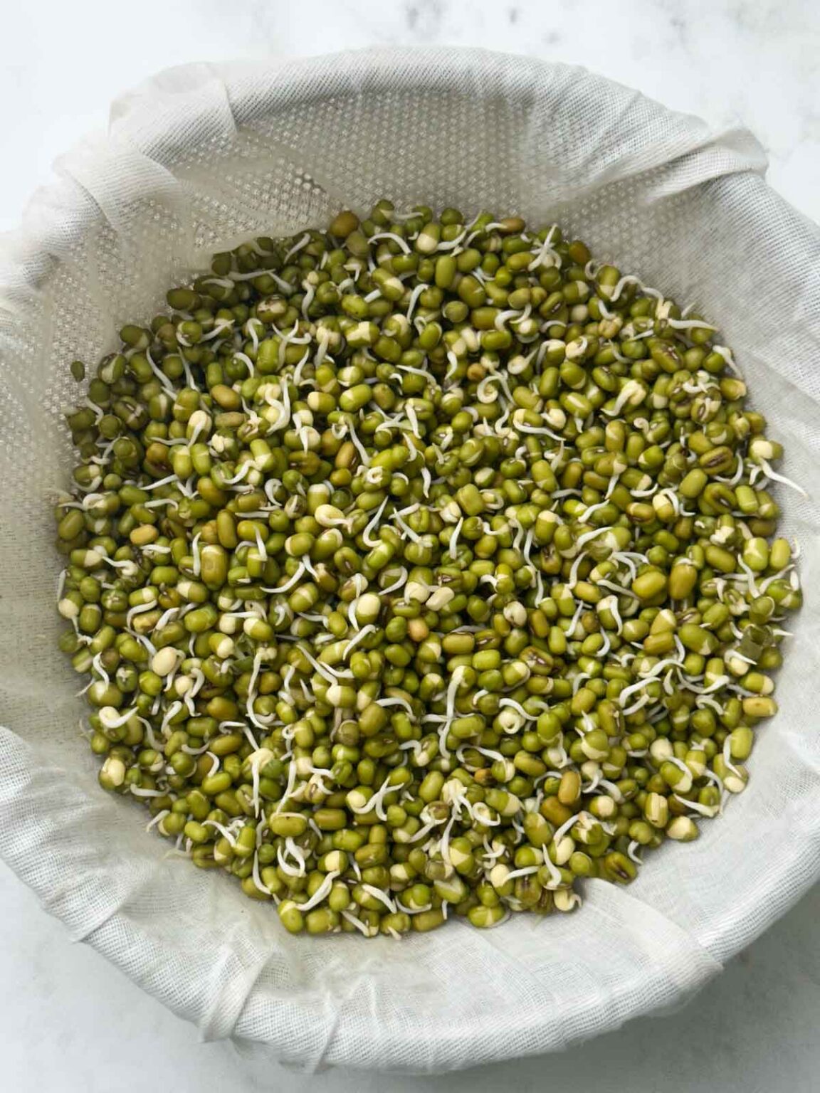 How to Sprout Beans - Indian Veggie Delight