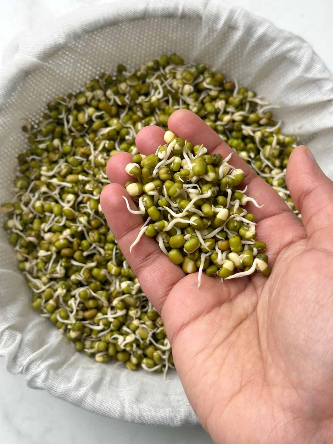 How to Sprout Beans - Indian Veggie Delight