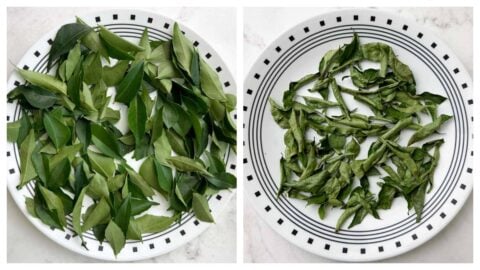 How to Store Curry Leaves - Indian Veggie Delight