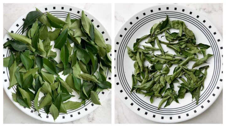 How to Store Curry Leaves - Indian Veggie Delight