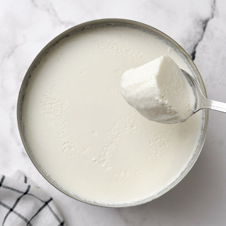 How to Make Curd (Homemade Indian Yogurt) - Indian Veggie Delight