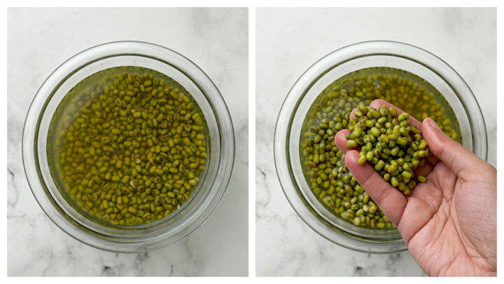 How to Sprout Beans - Indian Veggie Delight