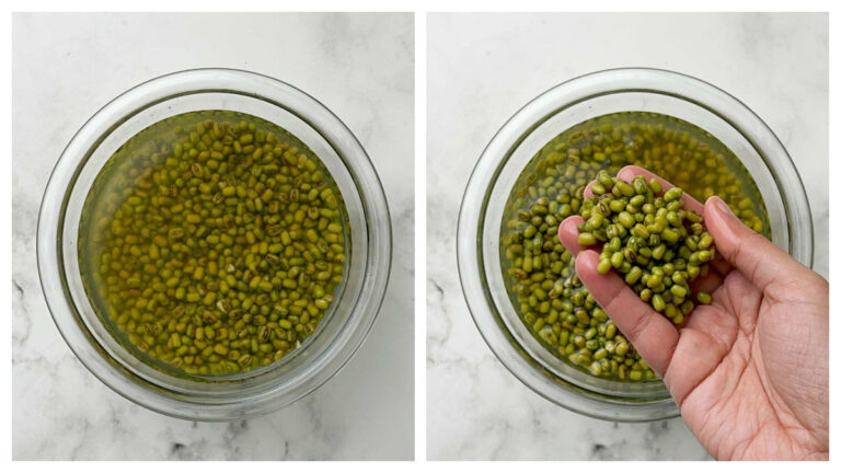 How to Sprout Beans - Indian Veggie Delight