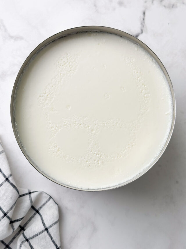 How to Make Curd (Homemade Indian Yogurt) - Indian Veggie Delight