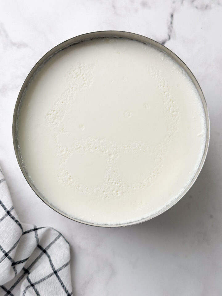 How to Make Curd (Homemade Indian Yogurt) - Indian Veggie Delight