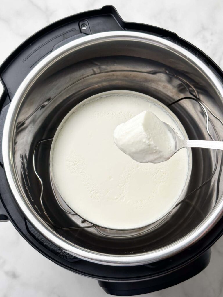 How to Make Curd (Homemade Indian Yogurt) - Indian Veggie Delight